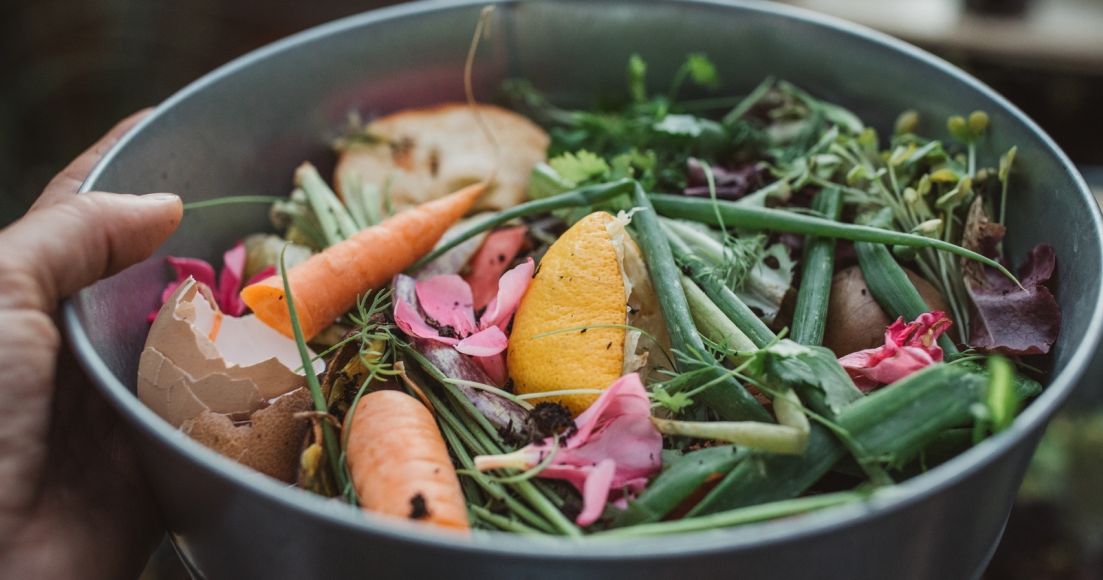 How to Compost at Home - The Habitat