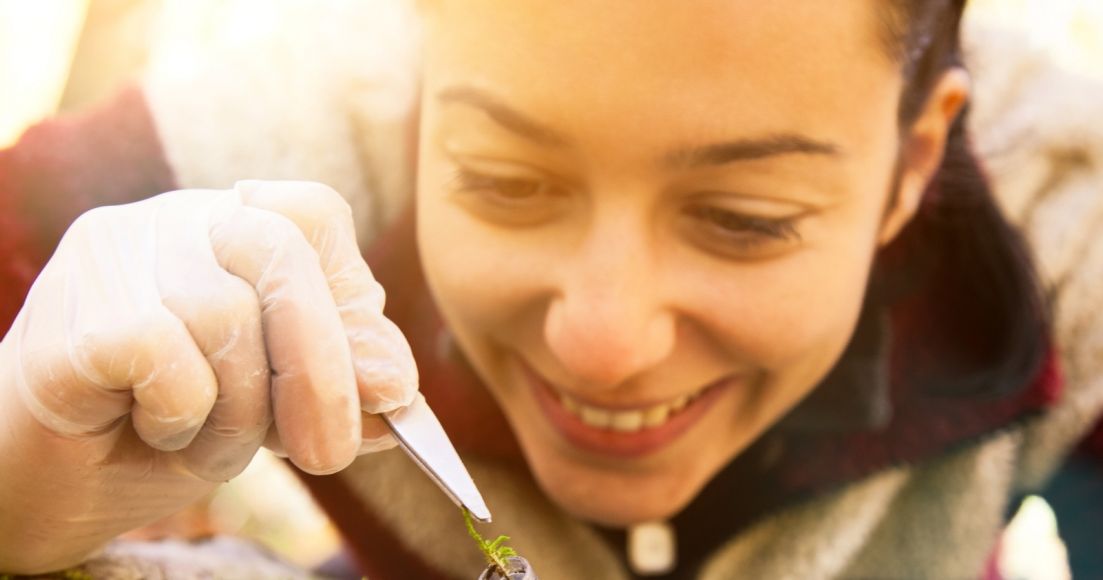 Expert Advice for Conducting a Productive Experiment - The Habitat