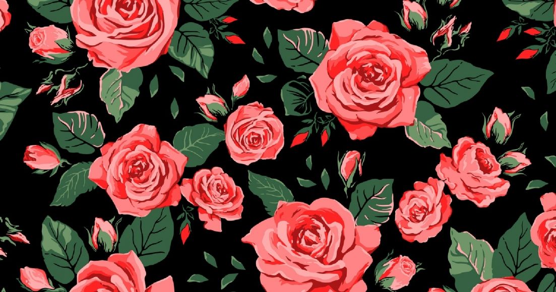 How to Draw a Rose - The Habitat