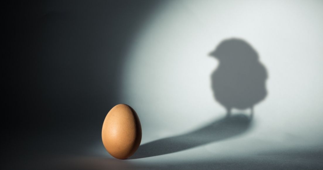 What is a Paradox and Why is it Important? - The Habitat