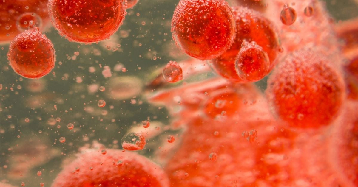 What Color is Blood? - The Habitat