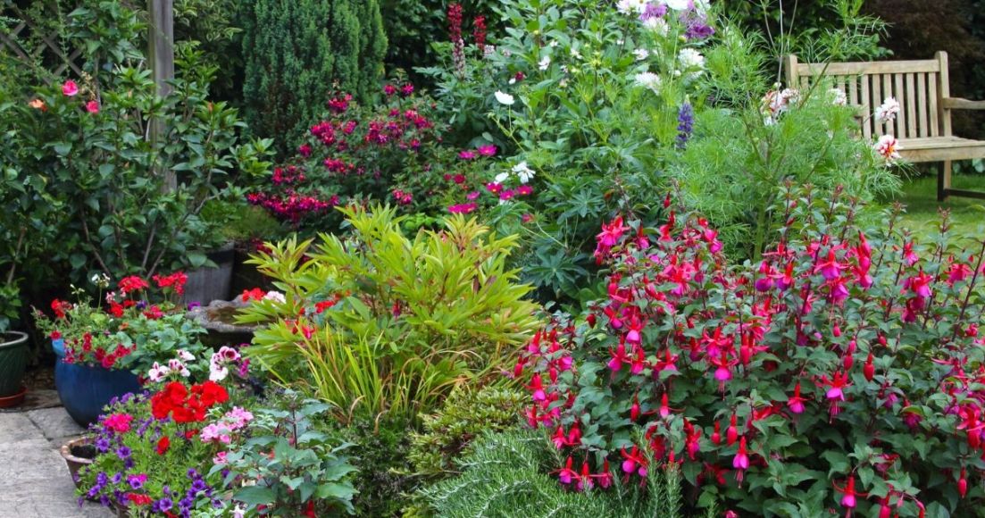 Flowering Shrubs For Every Climate - The Habitat