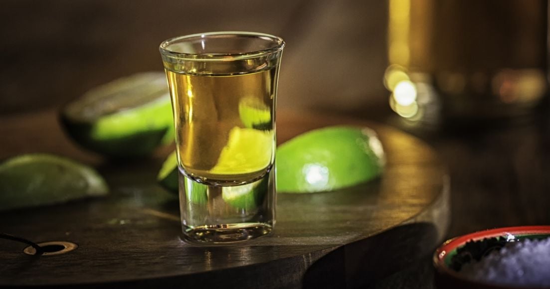 Fun Facts About Tequila for National Tequila Day - The Habitat