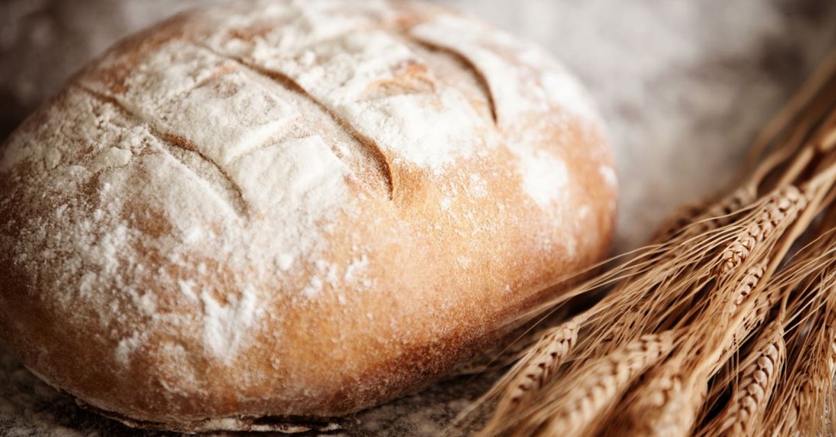 How to Make the Best White Bread Ever! - The Habitat