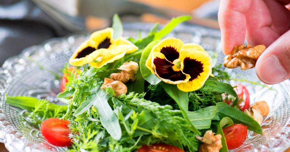 Surprisingly Tasty Flowers for Your Edible Landscape - The Habitat