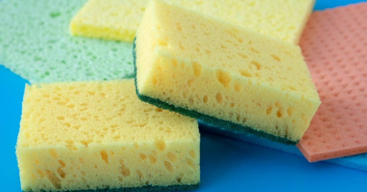 Surprising and Helpful Hacks For Your Sponges - The Habitat