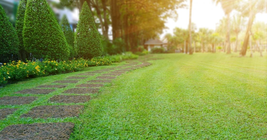 Springtime Lawn Tips for Your Yard - The Habitat