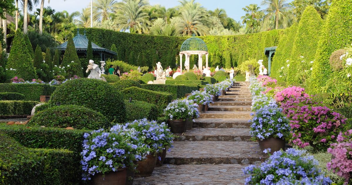 Create Your Own Authentic Italian Garden - The Habitat