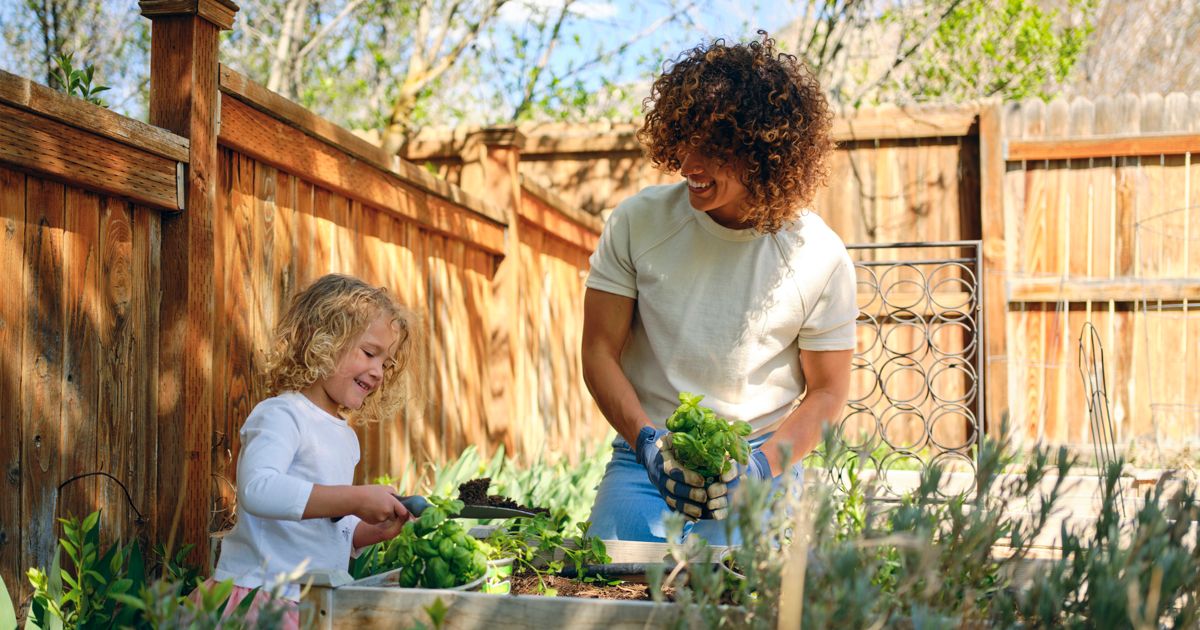 Creating A Garden On Your Rental Property - The Habitat