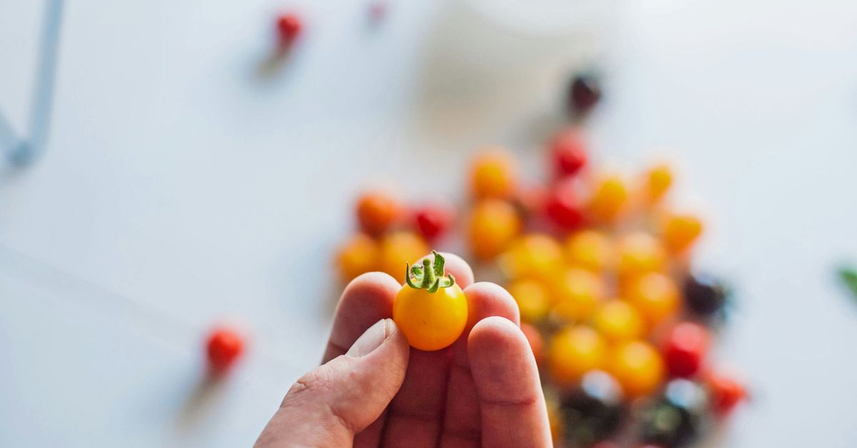 How to Grow Edibles in Small Spaces - The Habitat