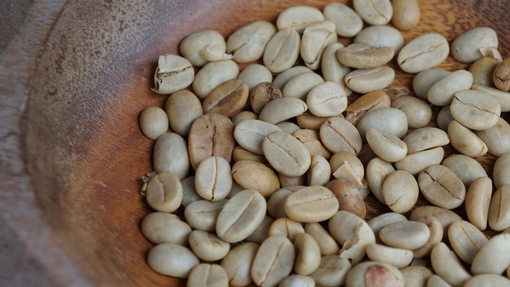 Costly Coffee Galore: The 10 Most Expensive Varieties In the World ...