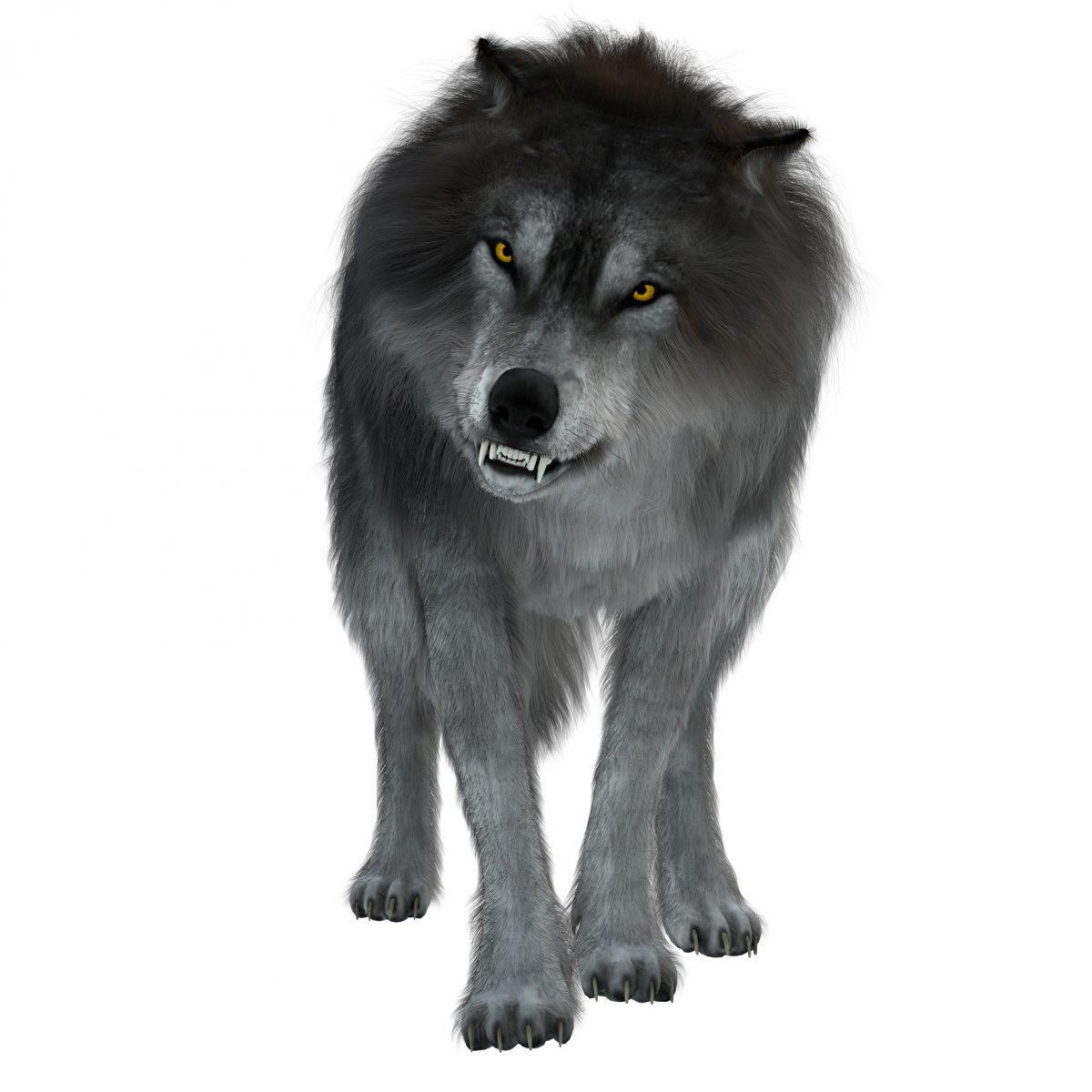 What Is A Dire Wolf? Dire Wolf Facts - The Habitat