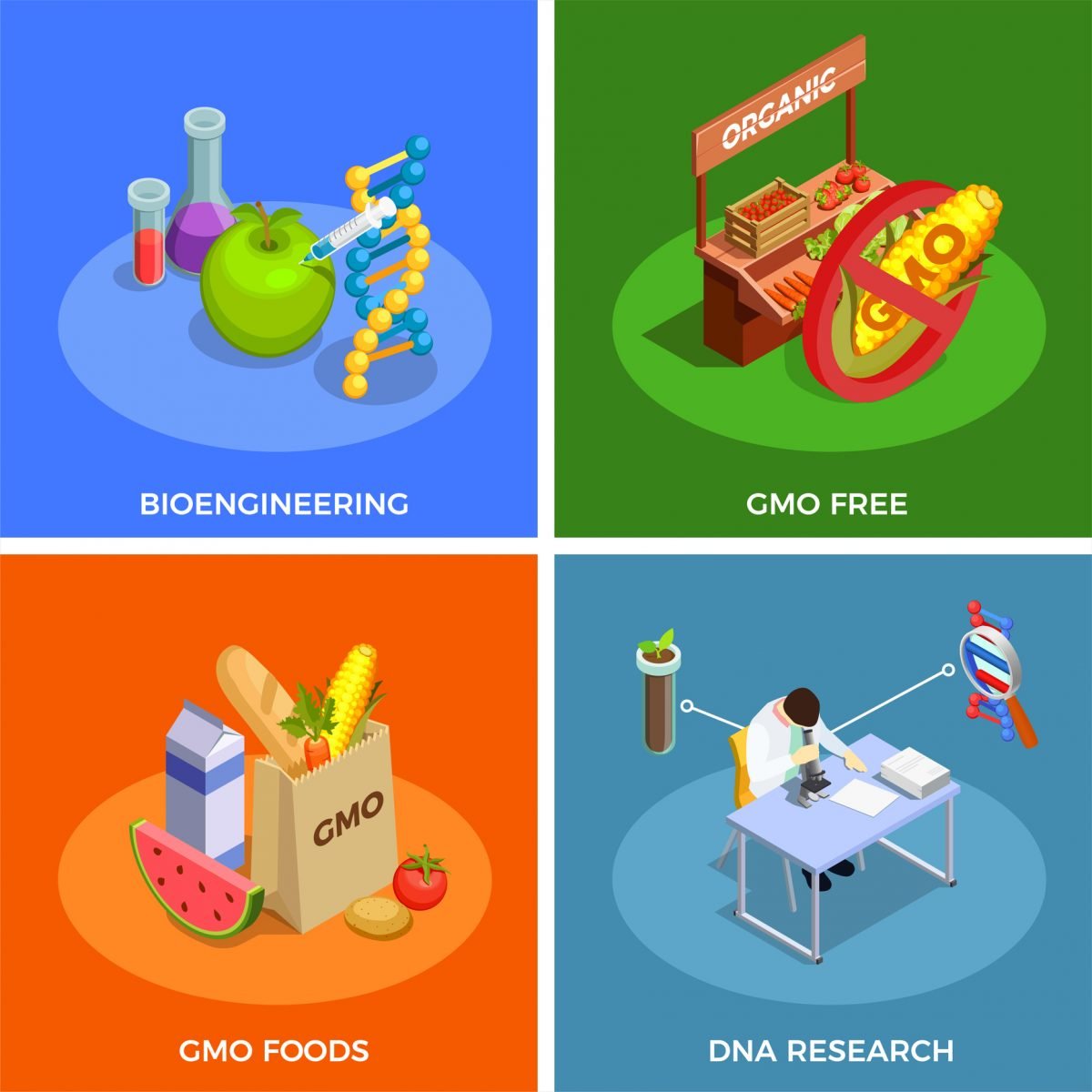 What Is The Law Of Segregation? - The Habitat
