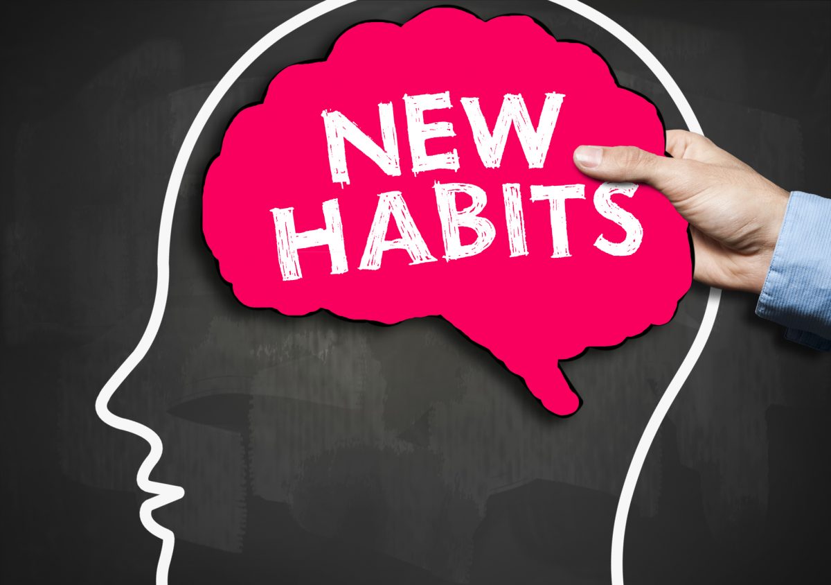 What Happens in the Brain When Habits Form? - The Habitat