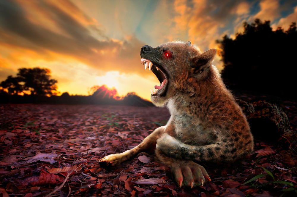 What is a Chupacabra? - The Habitat