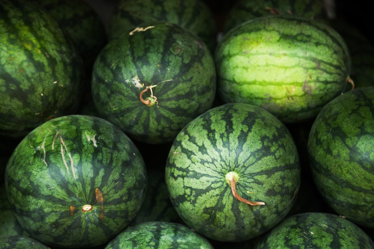 How to Pick a Watermelon - The Habitat