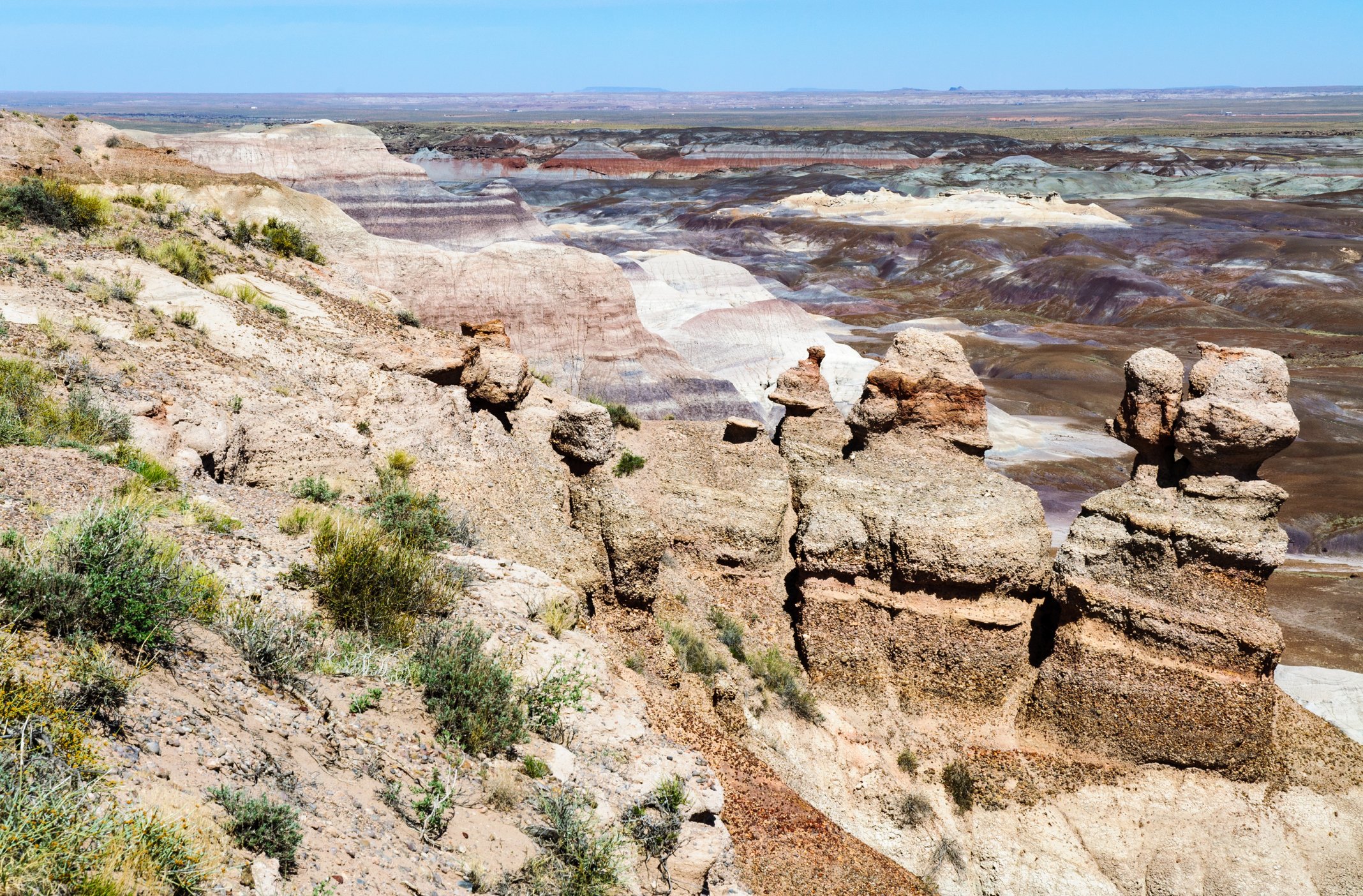 What is Pangea? - The Habitat