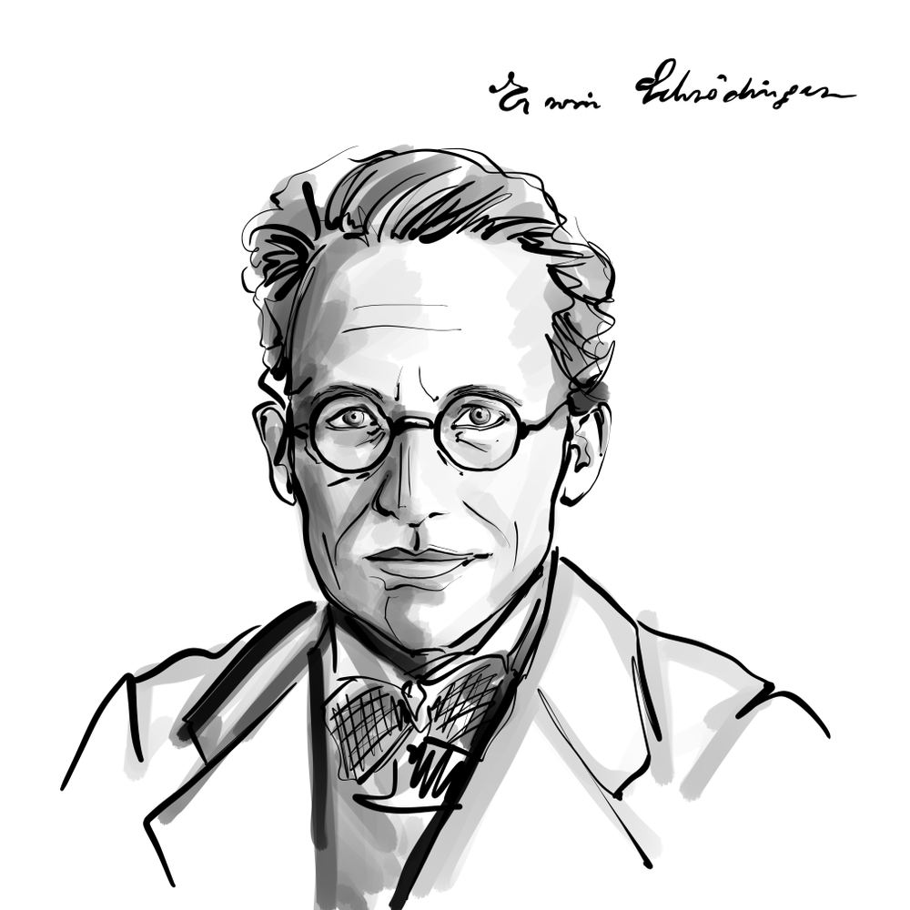 What is Schrödinger's cat? - The Habitat