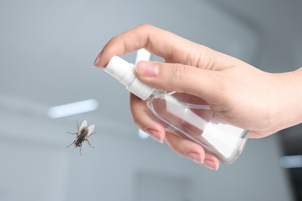How to Get Rid of Wasps with Vinegar - The Habitat