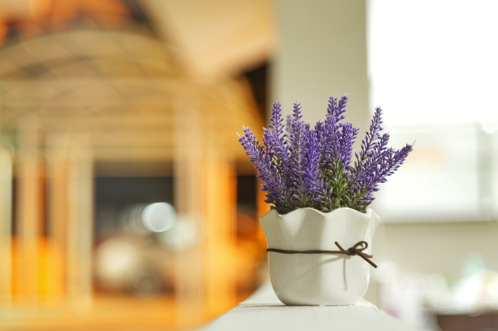 Flies Be Gone: Natural and Chemical Elimination Methods - The Habitat