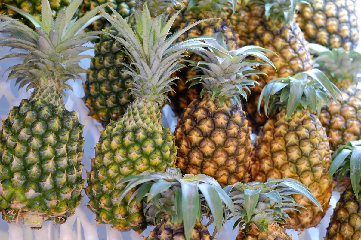 How to Pick and Use a Pineapple - The Habitat