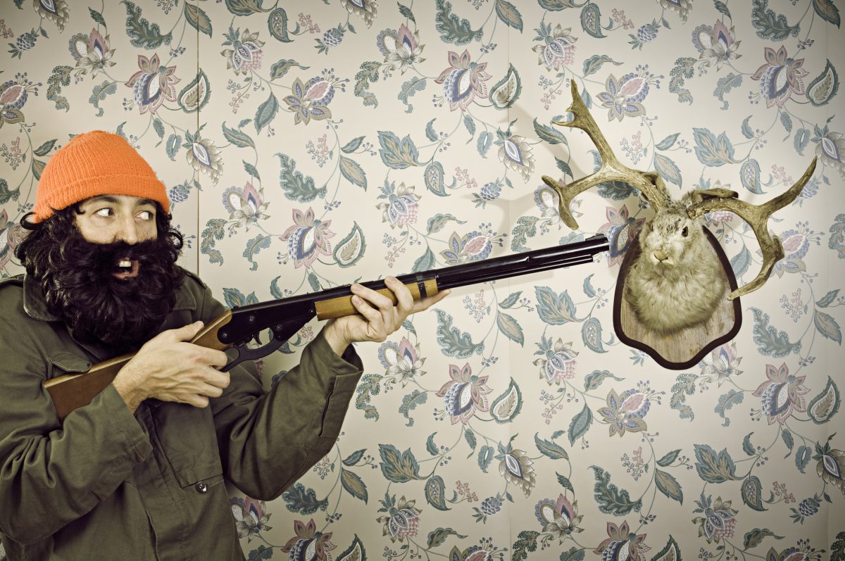 What is a Jackalope? - The Habitat