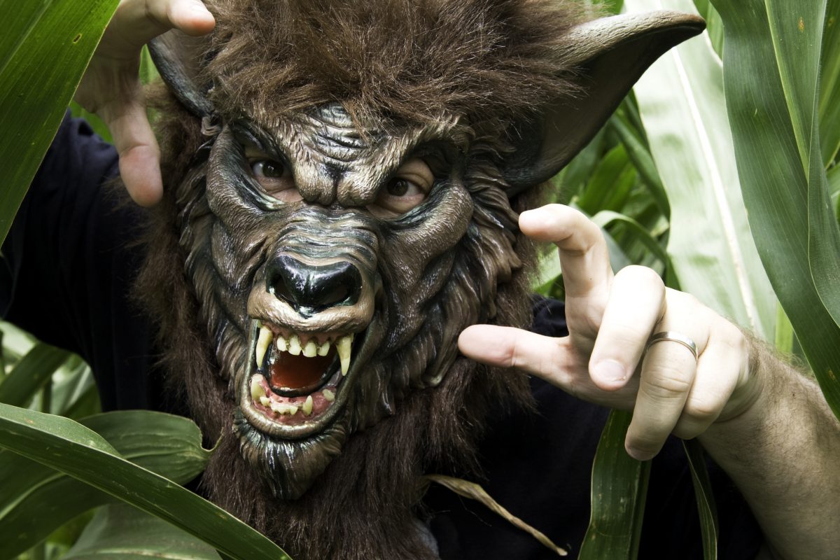 What is a Wendigo? - The Habitat