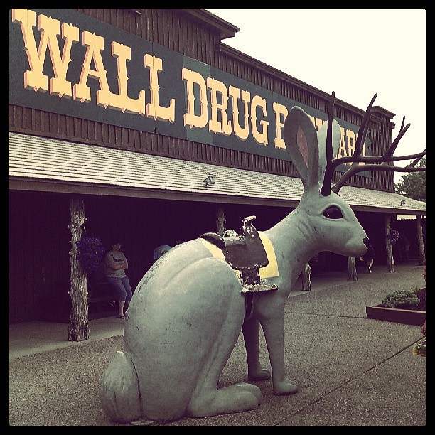 What is a Jackalope? - The Habitat