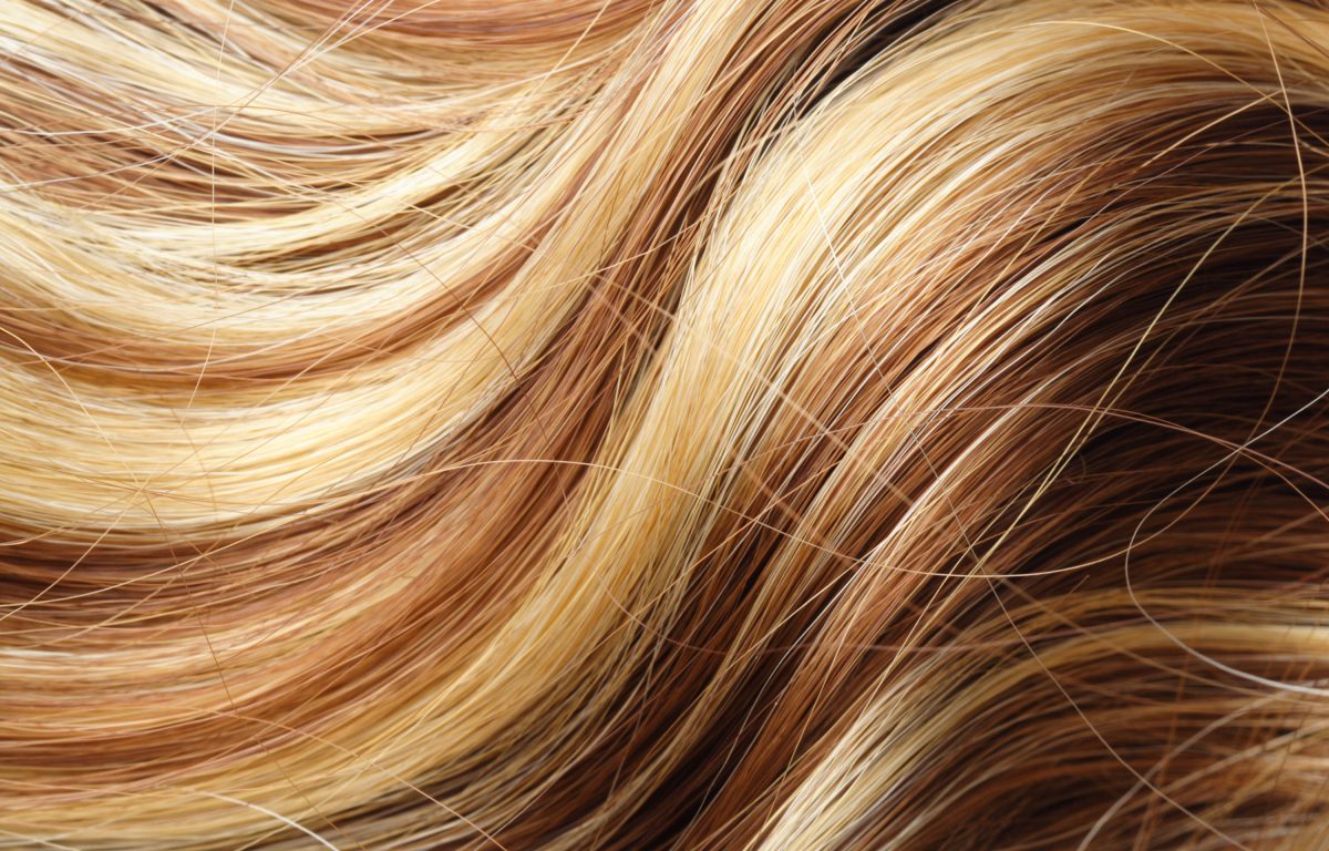 Hair Color Terms to Add to Your Vocabulary - The Habitat