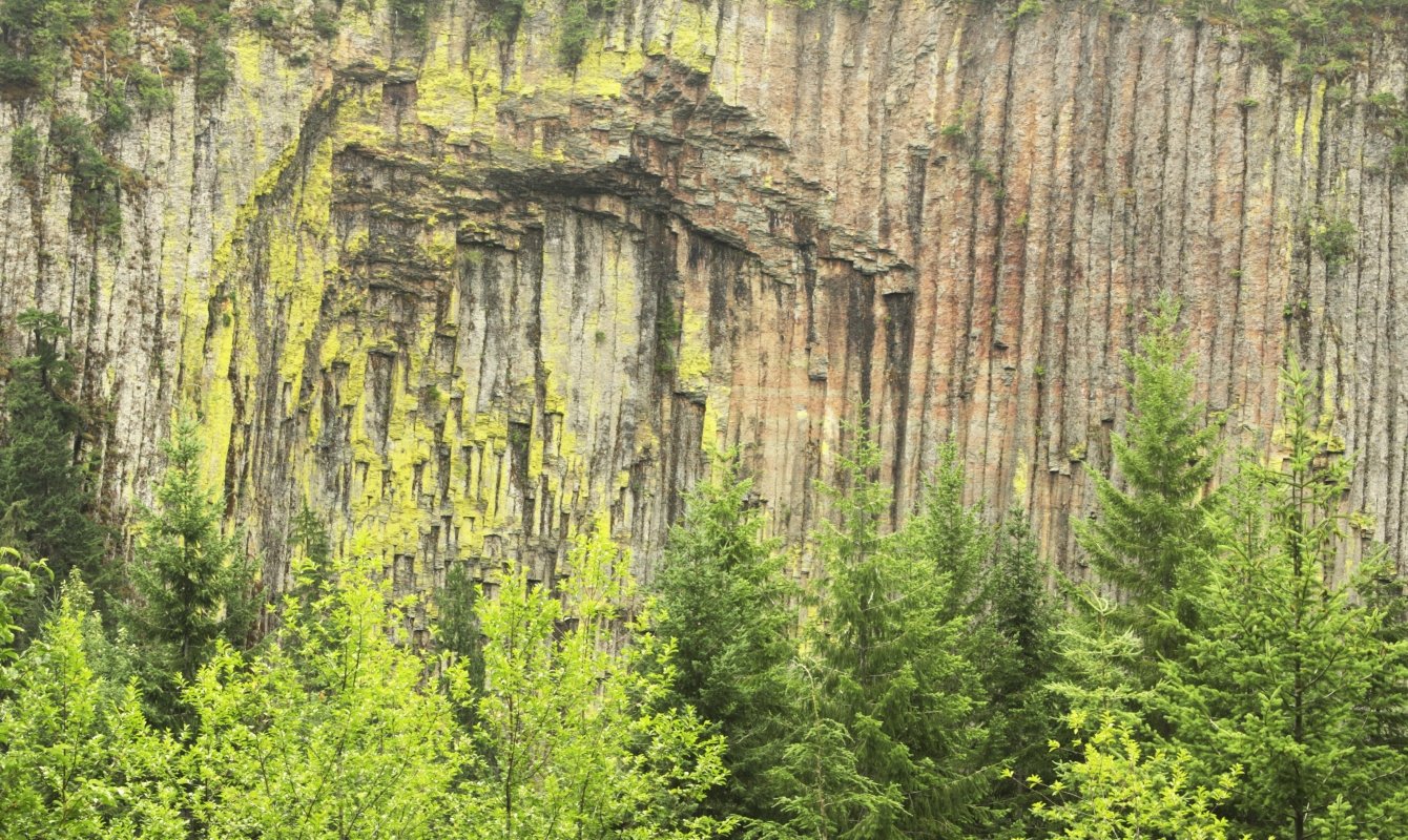 What is Pangea? - The Habitat