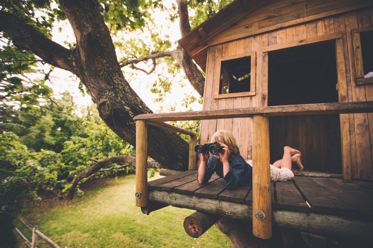 Tips for Building a Treehouse - The Habitat