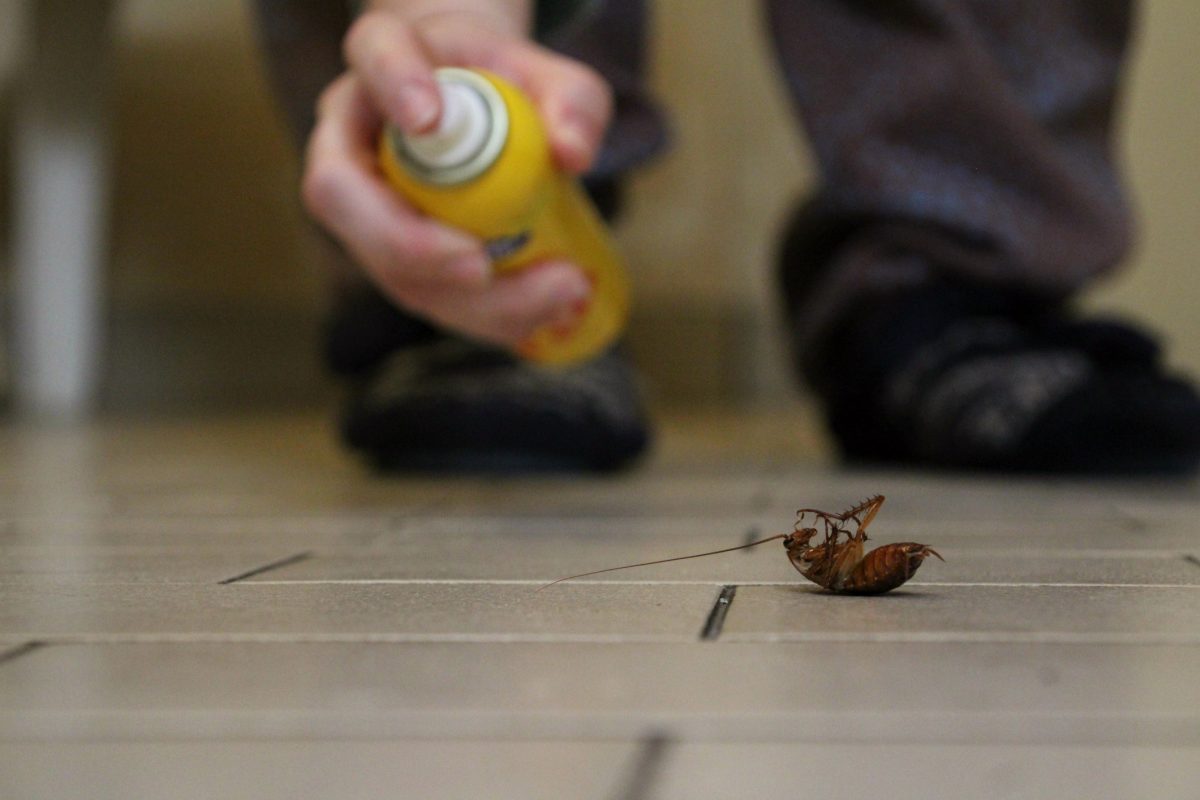 Got a Roach Problem? Here's What to Do - The Habitat