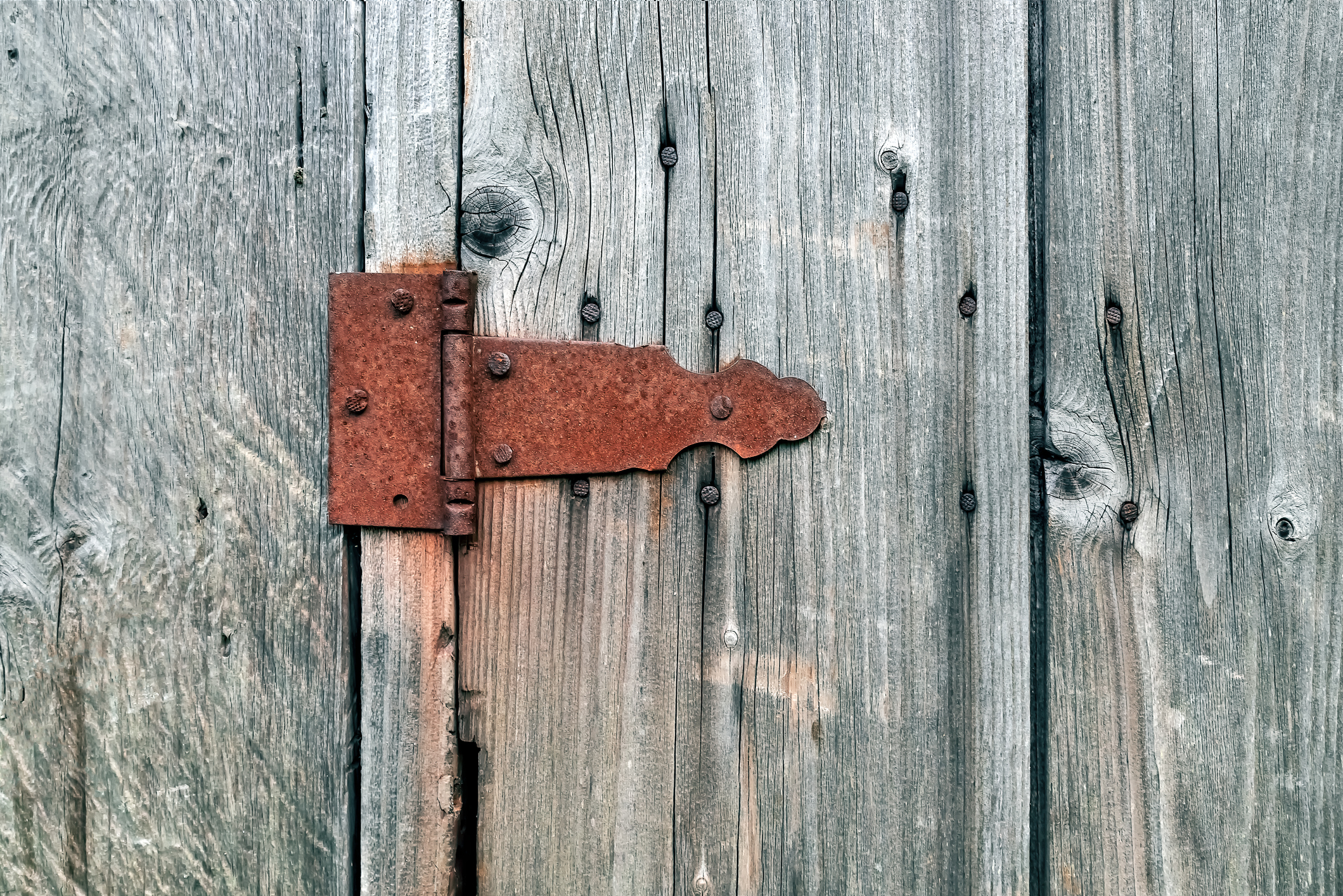 20 Steps to Removing Rust Effectively - The Habitat