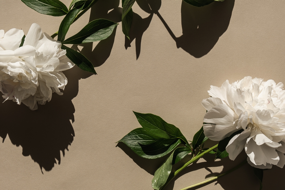 15 Easy Flower-Pressing Methods to Try - The Habitat