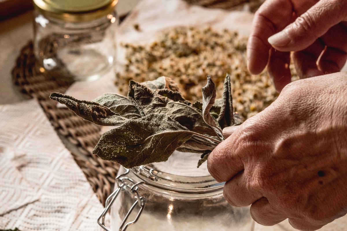 Create a Flavorful Pantry with Dried Herbs - The Habitat