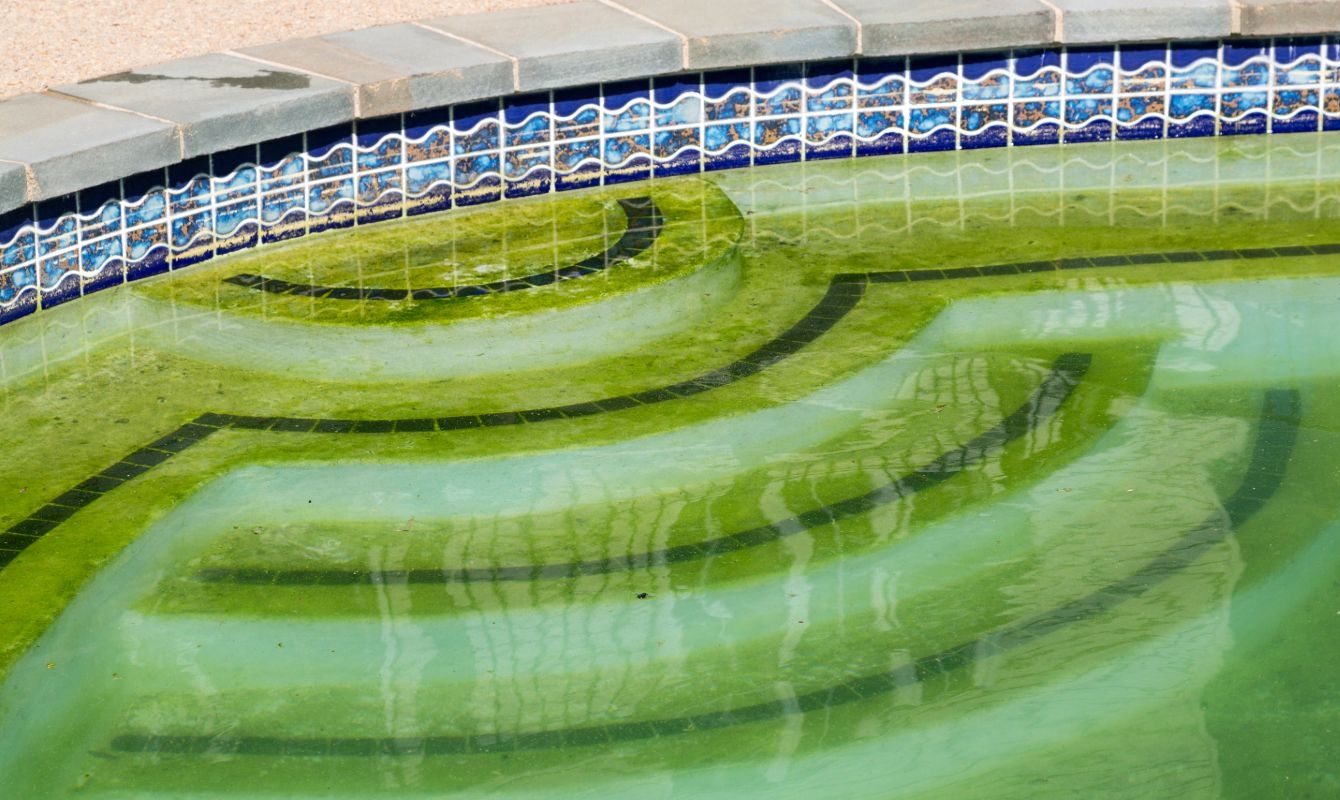 Causes of Cloudy Pool Water and How to Beat It - The Habitat