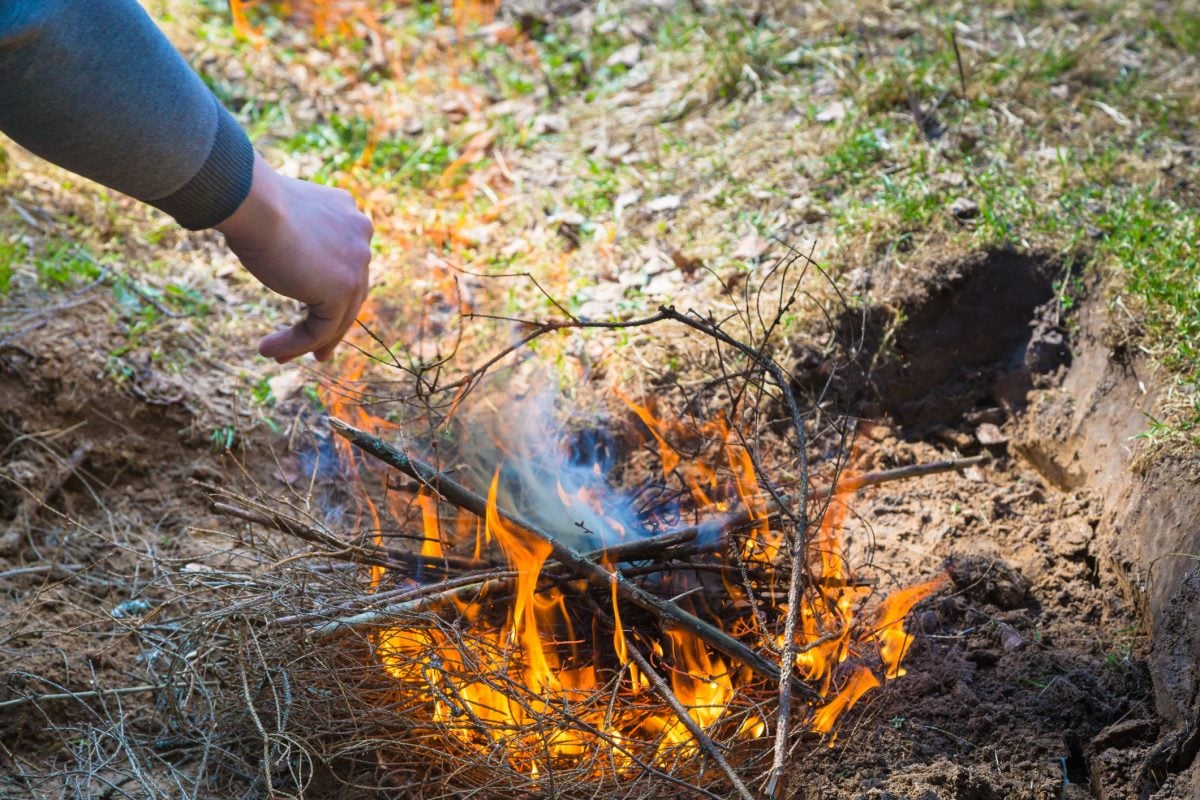 Natural DIY Snake Repellents for Your Backyard - The Habitat