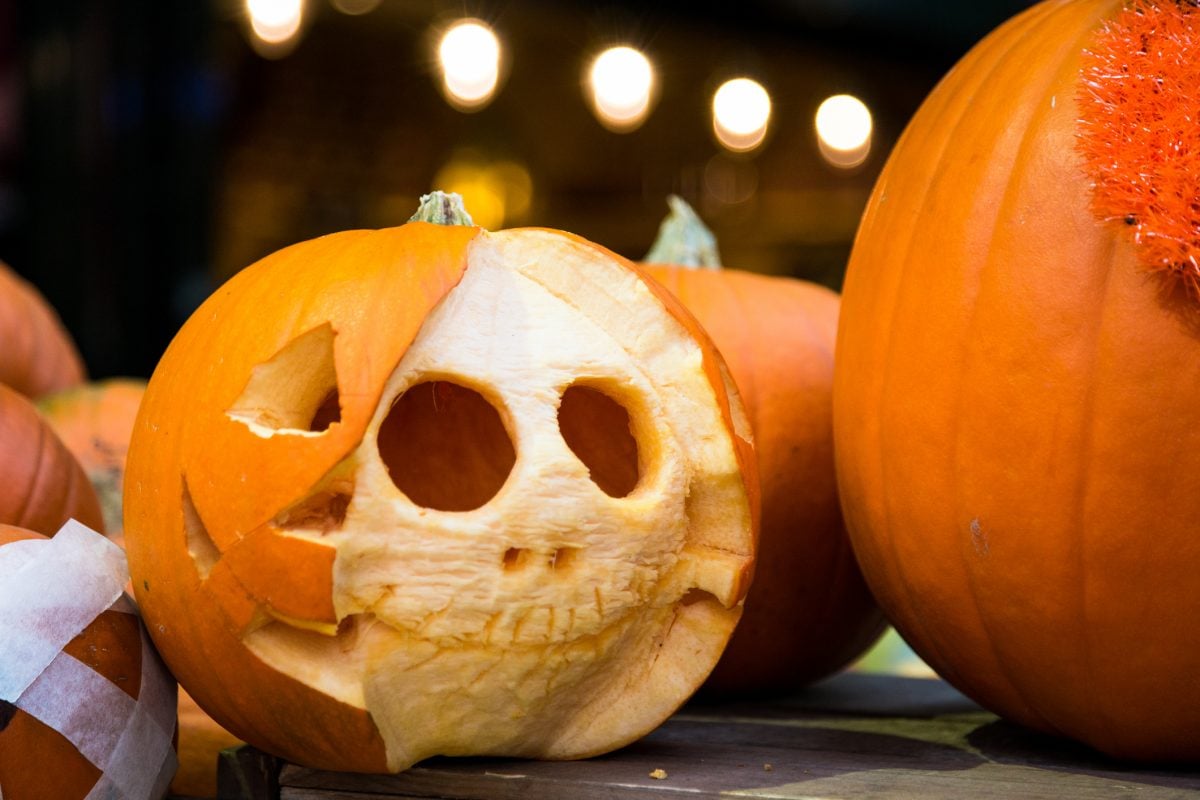Ideas for the Perfect Spooky Pumpkin - The Habitat