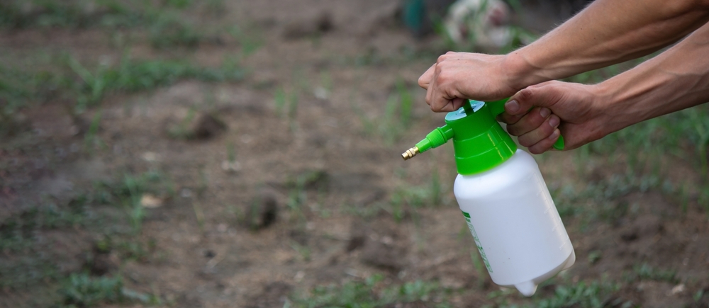 How to Get Rid of Cicadas (And, When Do They Come Out?) - The Habitat