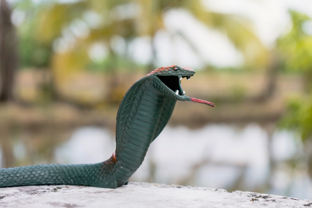 Natural DIY Snake Repellents for Your Backyard - The Habitat