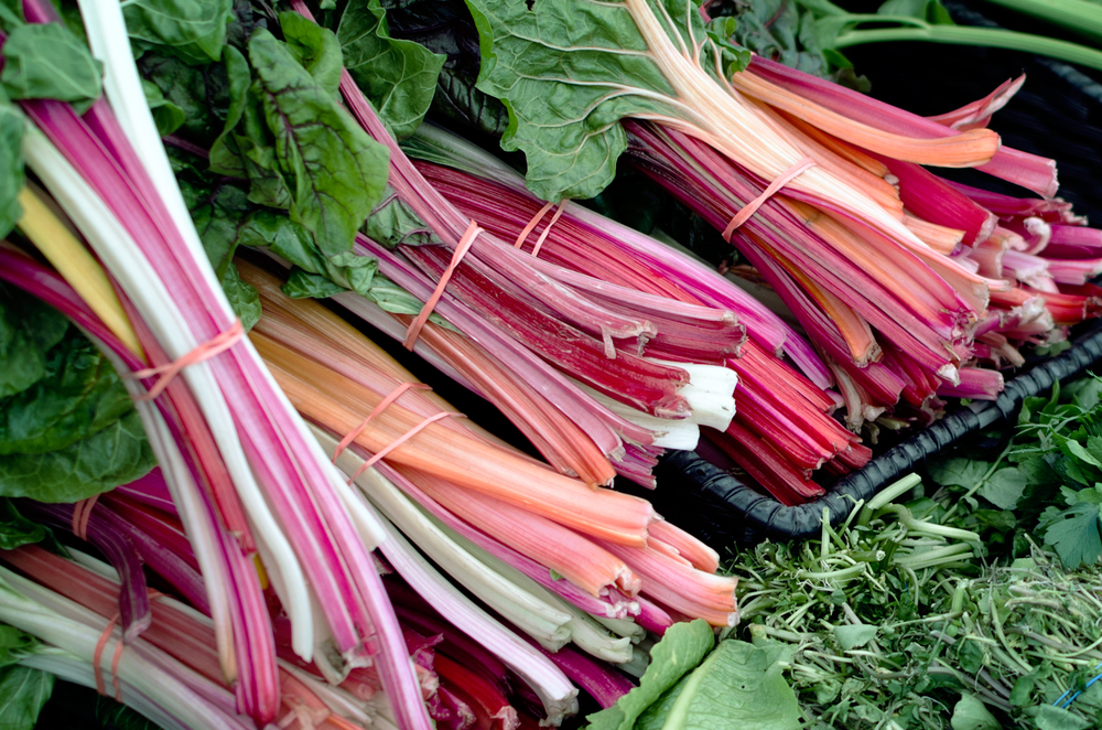 How to Grow and Care for Rhubarb - The Habitat