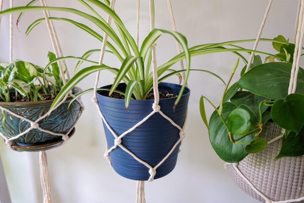 Create an Easy DIY Macrame Planter - The Habitat