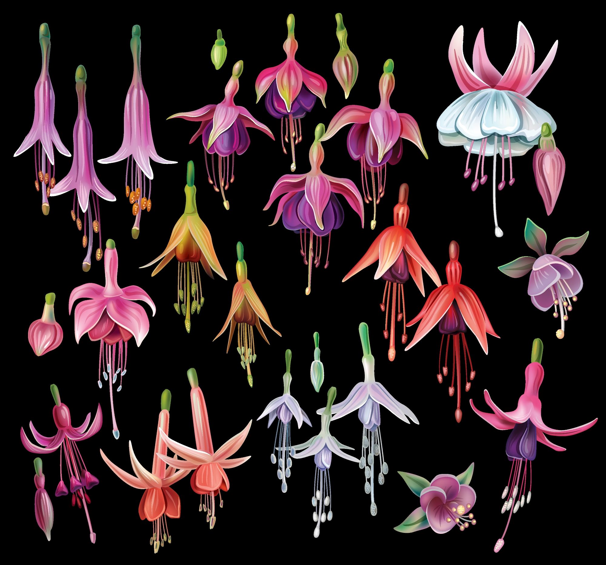 Fine-Tune Your Garden Aesthetic With Fuchsias - The Habitat