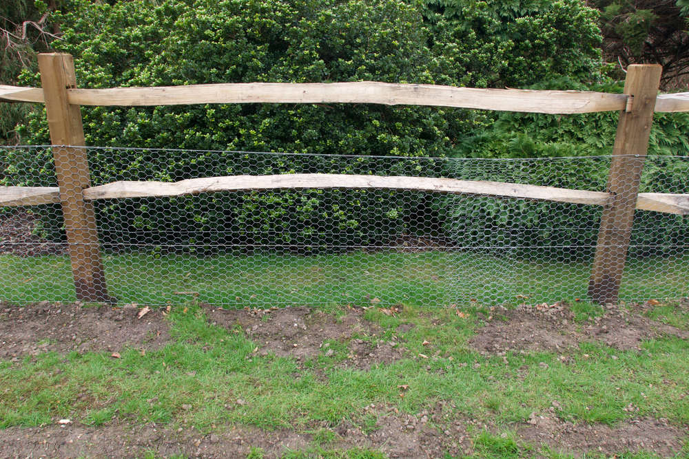28 Steps to Get Rid of Groundhogs - The Habitat