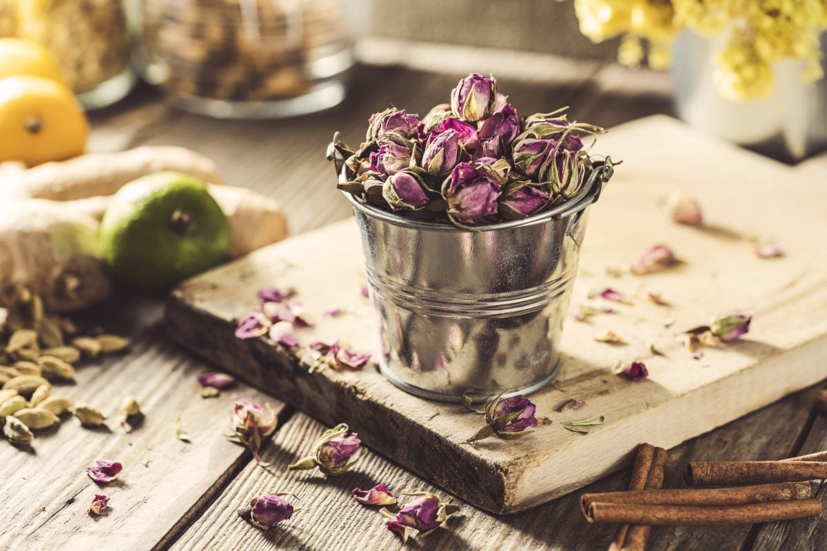 Surprisingly Tasty Flowers for Your Edible Landscape - The Habitat