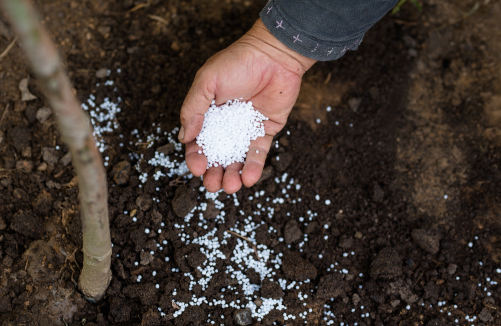 Breaking Down Types of Fertilizers - The Habitat