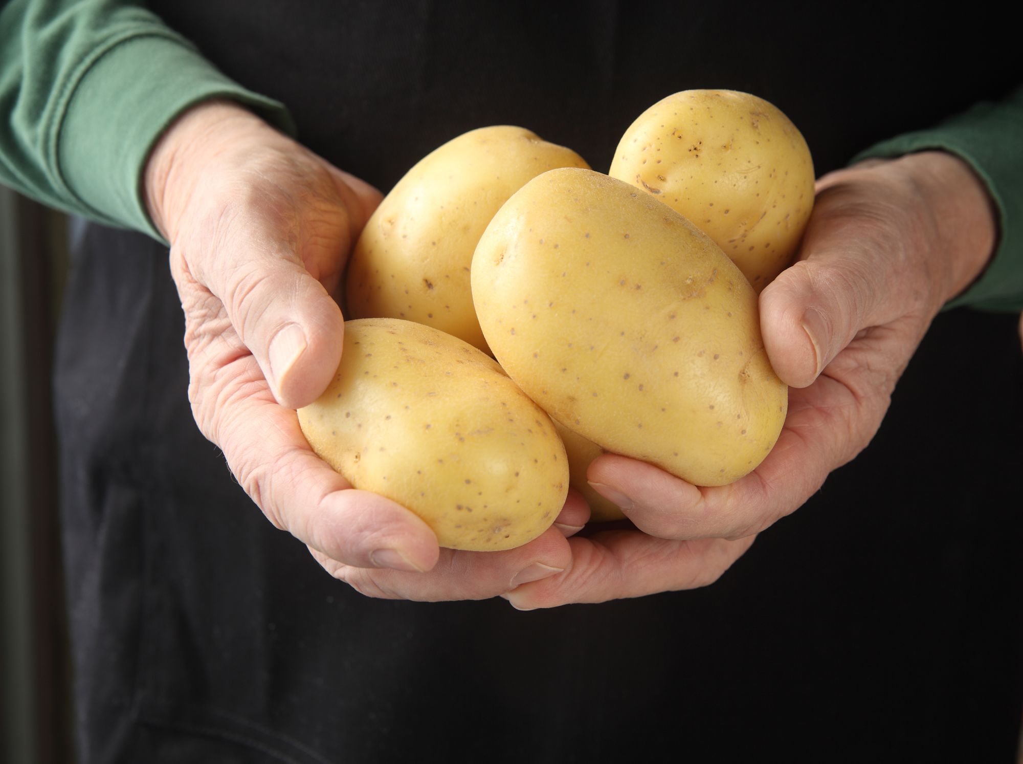 Popular Potato Varieties and How to Grow Them - The Habitat