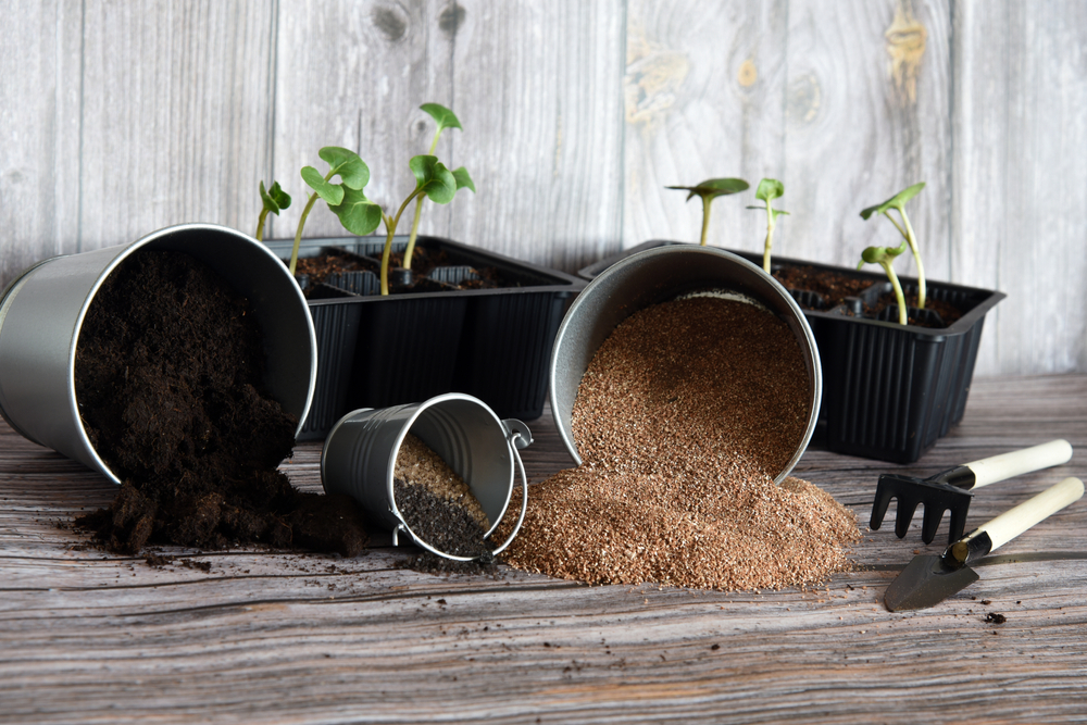 What to Know About Watering Your Houseplants - The Habitat