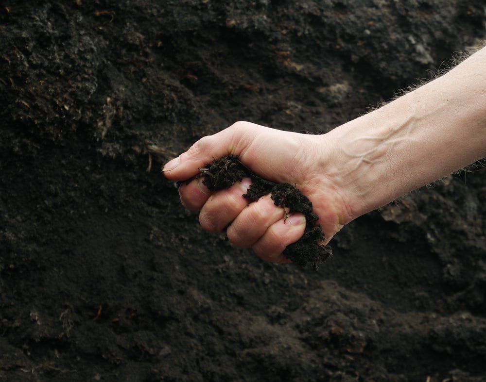 Everything You Need To Know About Loam Soil - The Habitat