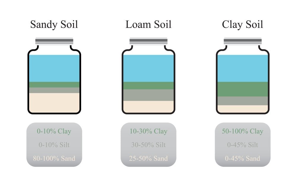 Everything You Need To Know About Loam Soil - The Habitat